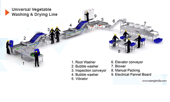universal vegetable washing & drying line universal vegetable washing & drying line